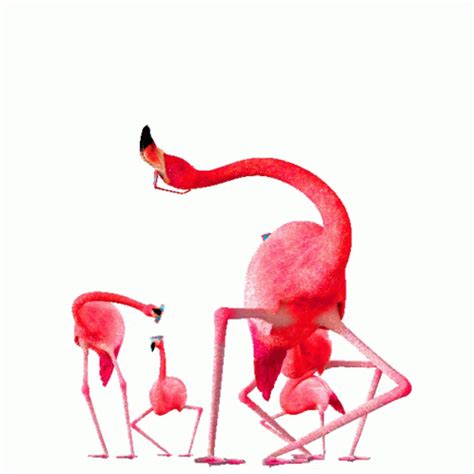 Flamingo S Tenor