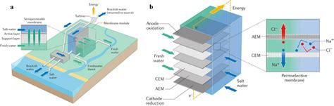 Schematic Of The Power Plants To Harvest The Salinity Gradient Energy