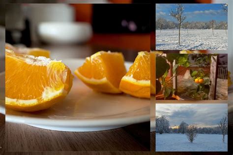 Orange Data Mining On Linkedin Medicine Datascience Dataanalytics Education Officelife