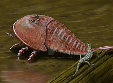 Casineria And Hibbertopterus In Early Carboniferous East Kirkton Scotland