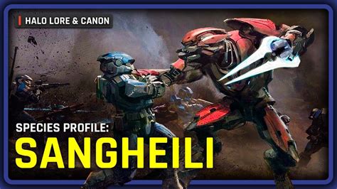 The Lore And History Of The Sangheili Halo Species Profile Youtube