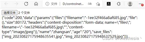 Python WEB框架之FastAPI fastapi python multipart CSDN博客