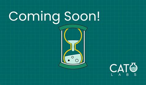 Digital Experience Monitoring Dem