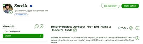 Saad Alaa Eldin On Linkedin Freelancer Upwork Wordpress Wordpressdeveloper Elementor