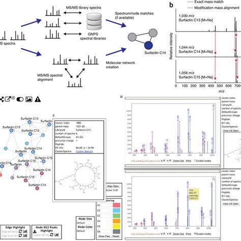 Pdf Sharing And Community Curation Of Mass Spectrometry Data With Global Natural Products
