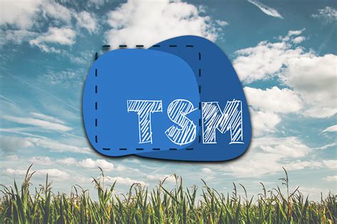 using tsm as a shebang interpreter in typescript logrocket blog