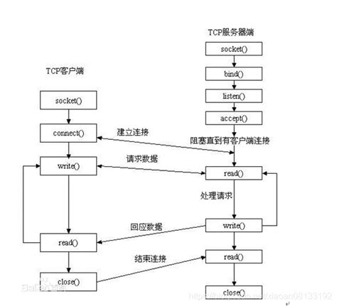 linux——使用socket实现c s模型 csdn博客