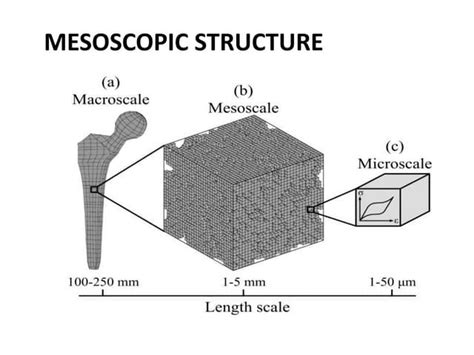 Mesoscopic Structure Pptx