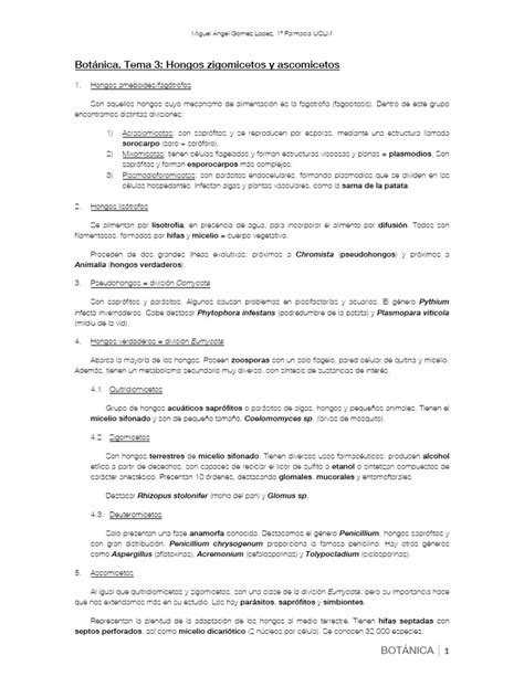 Tema 3 Hongos Zigomicetos Y Ascomicetos Pdf Hongo Organismos