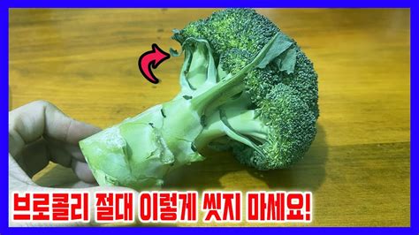 브로콜리 절대 이렇게 씻지 마세요 브로콜리 세척방법 Shorts Youtube