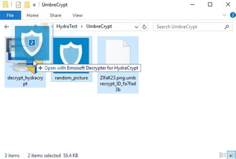 Emsisoft Decrypter Pour Hydracrypt Et Umbrecrypt Ransomware Tech Tribune France