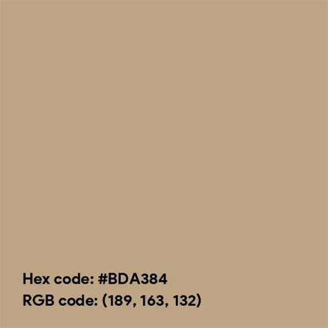 Light Mushroom Color Hex Code Is Bda384