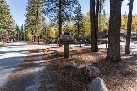Hiking Pine Knot Trail To Grand View Point Big Bear Ca Trail To Peak