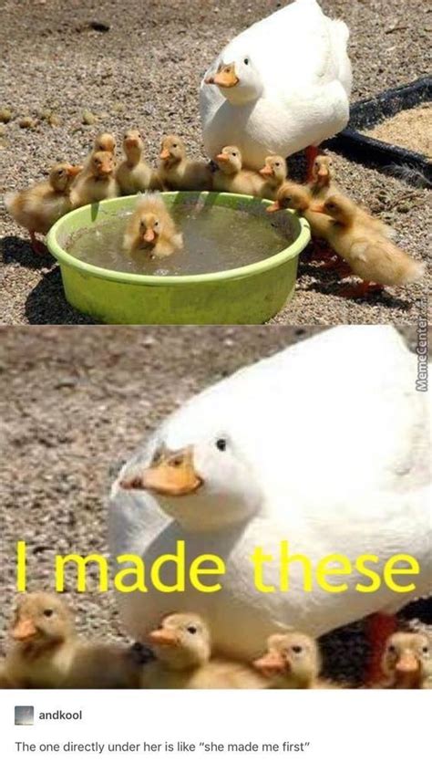 35 Duck Memes That Will Make You Quack All Day Artofit