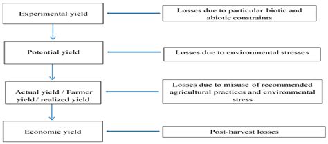 Estimation Of Maize Zea Mays L Yield Per Harvest Area Appropriate Methods