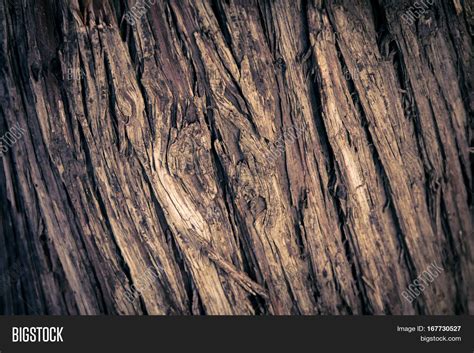 Vertical Diagonal Tree Image And Photo Free Trial Bigstock