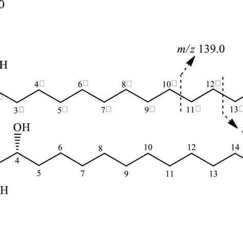 Ei Ms Fragmentation Pattern Of Dalbergiamide 1 Download Scientific Diagram