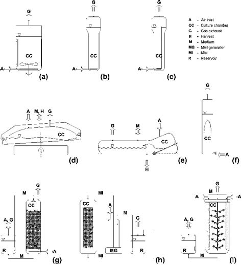 Fig 1 Schematic Diagrams Of Suitable Bioreactor Types A Stirred