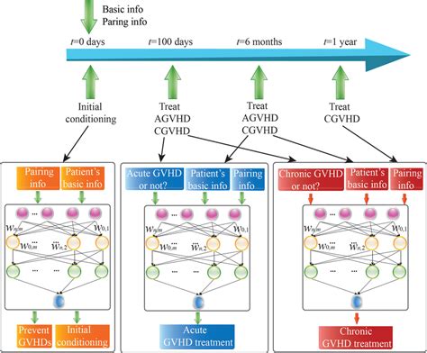 the proposed drl dqn framework for prevention and treatment of gvhd as