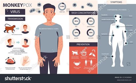 12 Ortho Wellness Stock Vectors And Vector Art Shutterstock