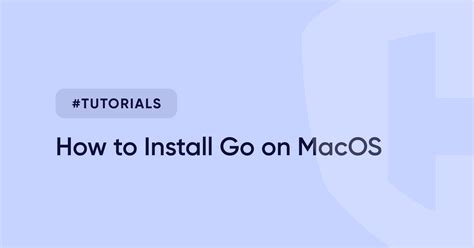 Installing Go On Mac Full Guide By Hostman