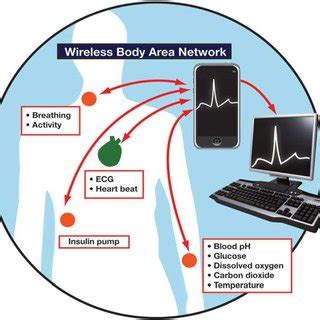Figure L Wireless Body Sensor Networks Download Scientific Diagram