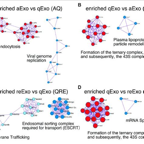 Molecular Complex Detection Networks Among Enriched Proteins
