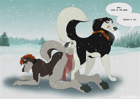 Rule 34 After Sex Alaskan Malamute All Fours Anal Anal Sex Animal