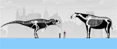 Based Size Comparisons 3 0 Mapusaurus And Paraceratherium Fandom