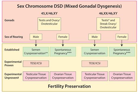 Disorders Of Sex Development—novel Regulators Impacts On Fertility