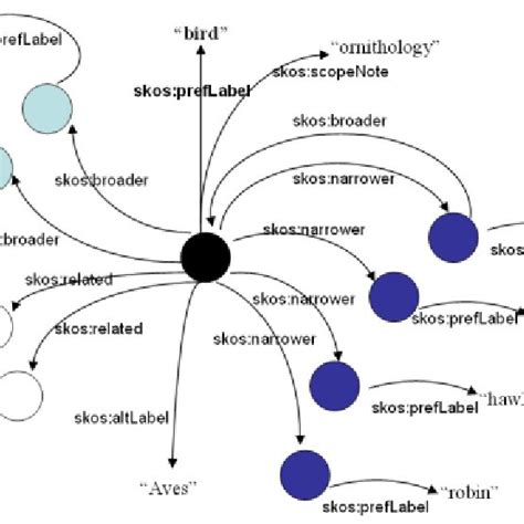 Rdf Graph Visualization Of Bird Relationships In Skos Download