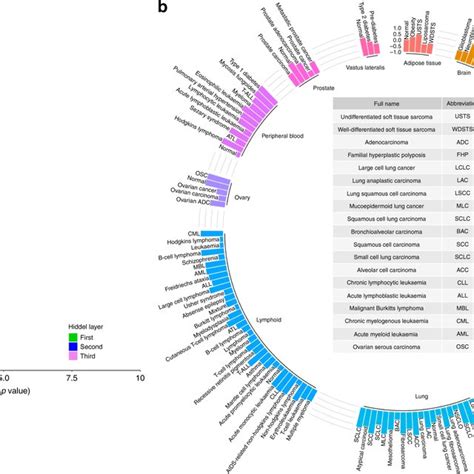 Deep Autoencoder Deepae Representation Clustering Samples Into Cell