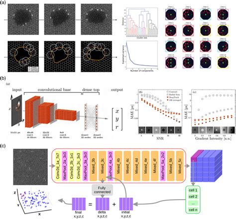 Particle Tracking With Computer Vision A A Full Convolution Neural Download Scientific
