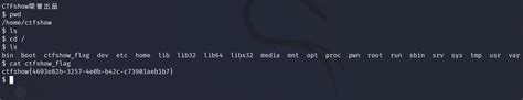 ctfshow pwn入门 test your nc详解 ctf pwn nc csdn博客