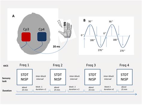 Experimental Set Up A Tactile Stimuli For Near Threshold Tactile Download Scientific Diagram