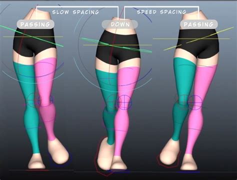 Tutorial Female Walk Cycle Female How To Make Animations Flip Book Animation