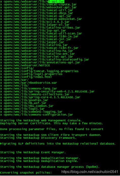 Symantec Netbackup 81安装部署symantec Netbackup 下载 Csdn博客