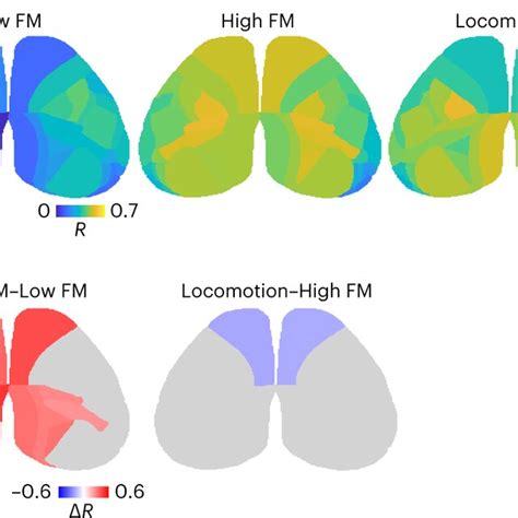 state dependent spatial variation in correlations between cholinergic