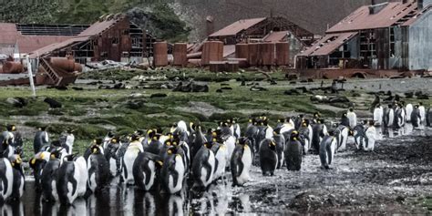 Integrating Rust The New Challenge In Upgrading One Of The Oldest Linux Kernels Dedirock