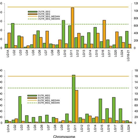Comparison Of The Average Length Of A 3′utr Length Between