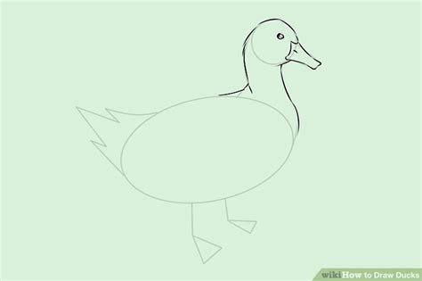 Realistic Duck Drawing At GetDrawings Free Download