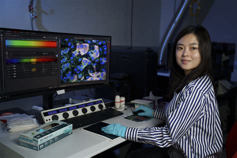 mapping mrna through its life cycle within cell mirage news