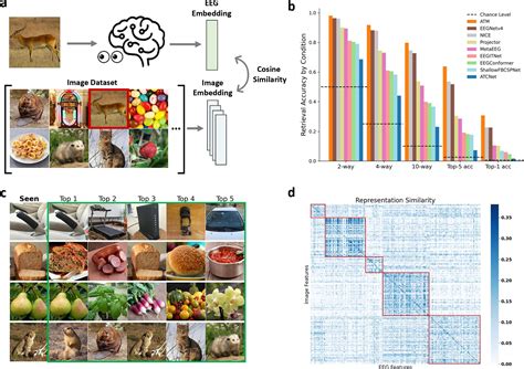 Visual Decoding And Reconstruction Via Eeg Embeddings With Guided