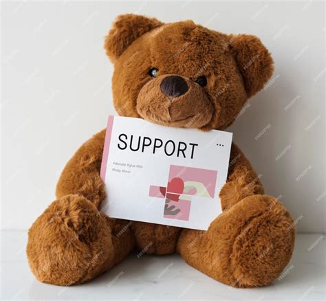 Oso De Peluche Con Ilustración De Campaña De Donaciones De Caridad