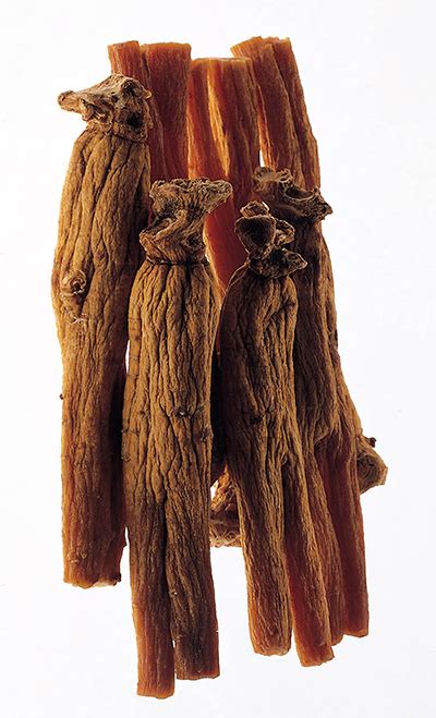 비타민c 아침에 먹어야 효과… 홍삼은 당신의 건강가이드 헬스조선