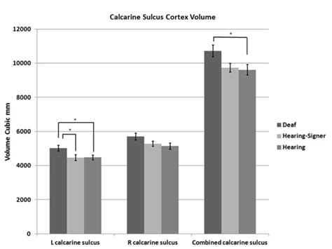 Calcarine Sulcus Cortex Volume Deaf Individuals Have Significantly