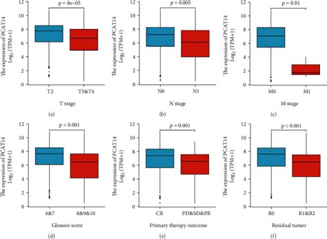 Lncrna Pcat14 Is A Diagnostic Marker For Prostate Cancer And Is