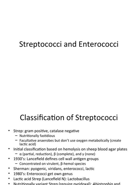 Strep And Enterococci Download Free Pdf Streptococcus Medical