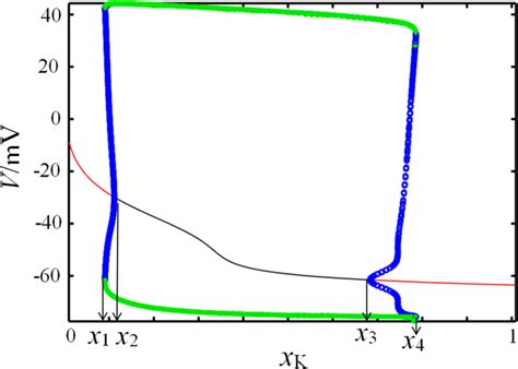The Bifurcation Diagram For Hh Neuron Model Driven By Multiple