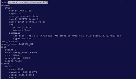Vmware Datacenter Cli Dcli Nsx T Examples And Use Of Jmespath